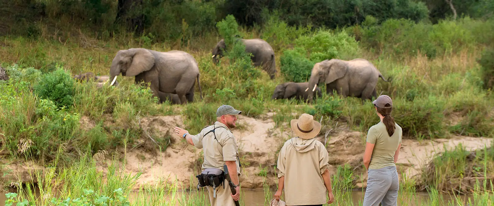 Dulini Collection Safaris - Tours, packages and lodging