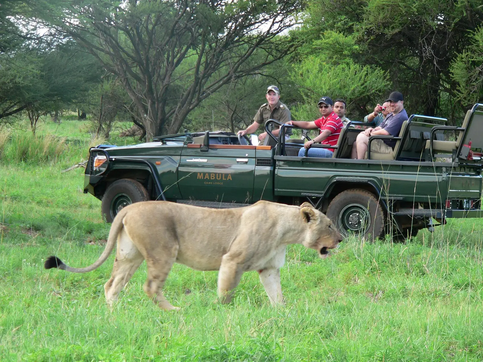 Mabula Game Lodge - safari lodge in Mabula Game Reserve