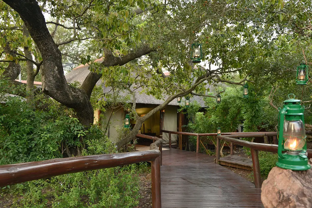 Camp Shonga - safari lodge in Kruger National Park