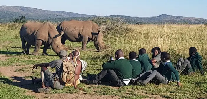 Decade of Rhino Poaching | SAFARI.COM