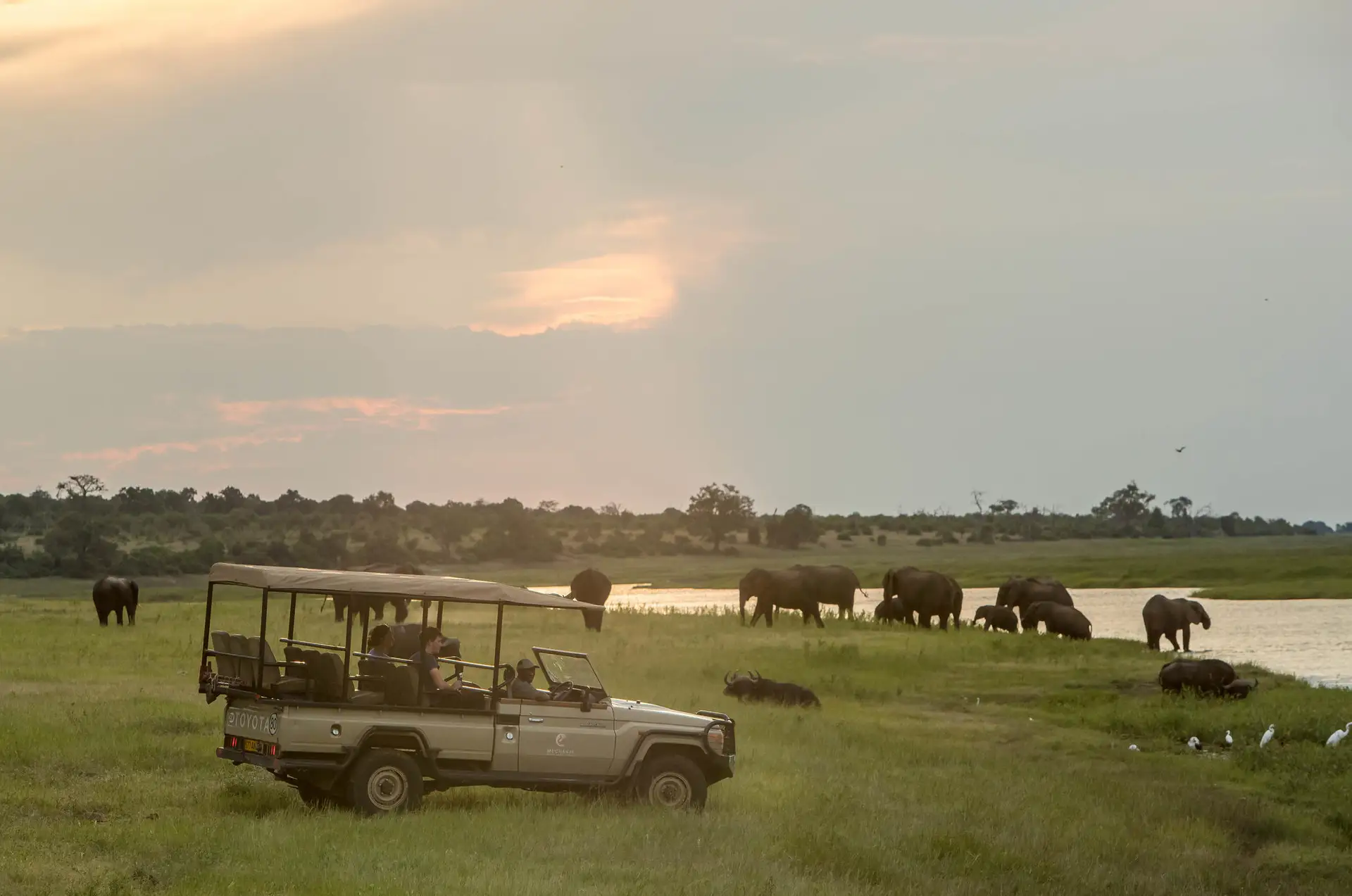 Botswana Safaris - Tours, packages and lodging